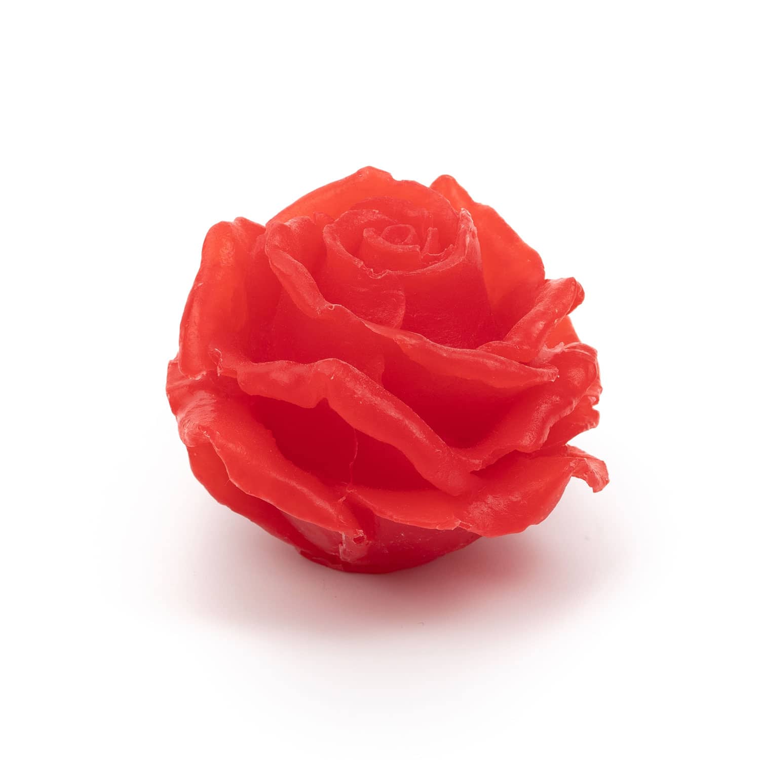 Rosa Real – Trocalife